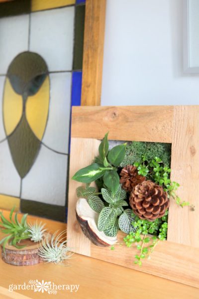 Where Gardens and Art Collide: WallFlower Living Frame - Garden Therapy