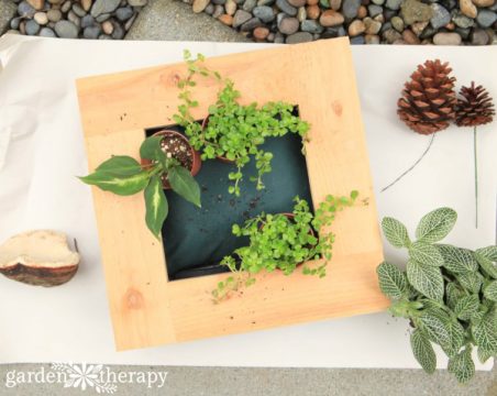 Where Gardens and Art Collide: WallFlower Living Frame - Garden Therapy
