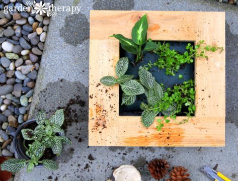Where Gardens and Art Collide: WallFlower Living Frame - Garden Therapy