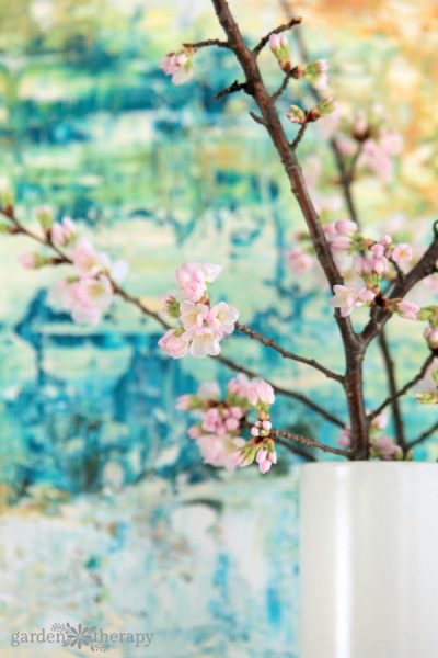 Cut Your Own Natural Flowering Branches for Vase Arrangements - Garden ...