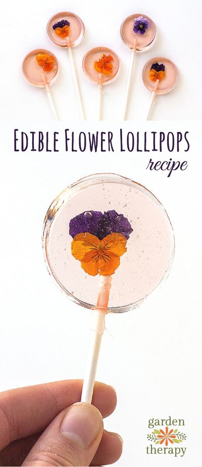 A Sweet Garden Party Treat: Edible Flower Lollipops - Garden Therapy
