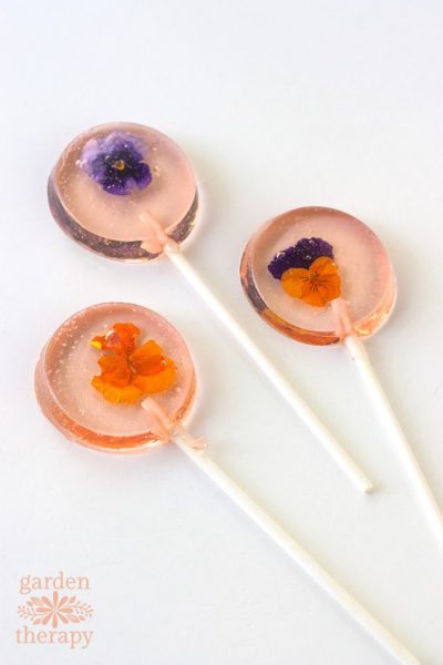 A Sweet Garden Party Treat: Edible Flower Lollipops - Garden Therapy