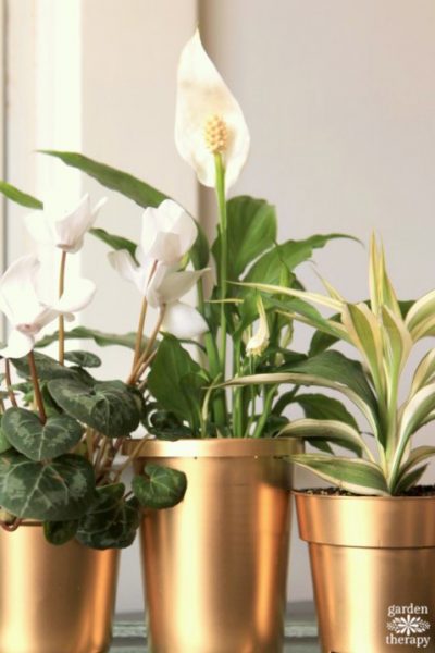 My Gilty Pleasure: Gold Painted Flowerpots - Garden Therapy