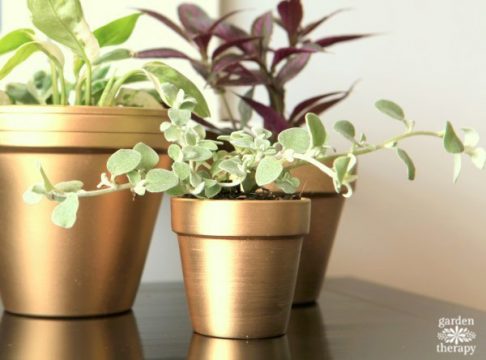 My Gilty Pleasure: Gold Painted Flowerpots - Garden Therapy