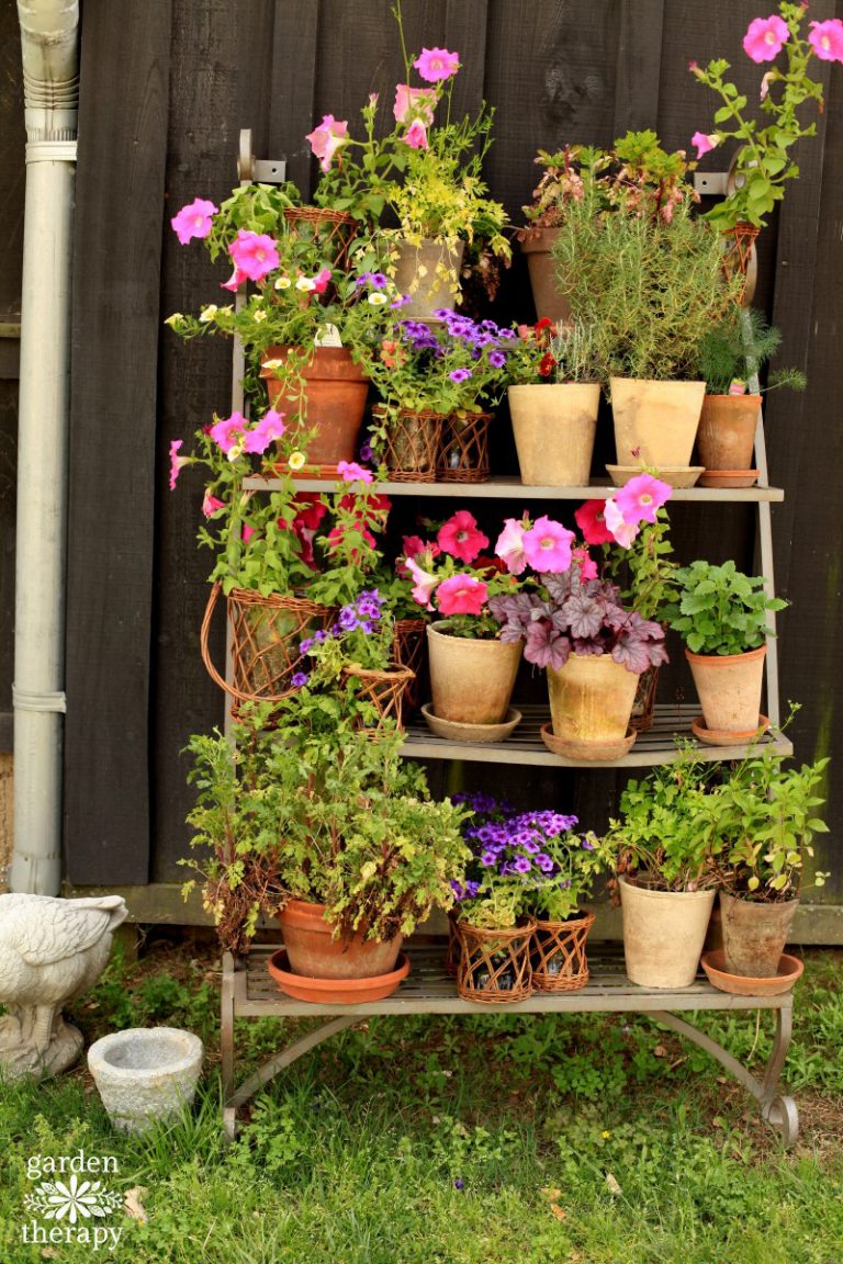 Moss Mountain Farm: Southern Hospitality, Rose Hoarding , and 2000 ...