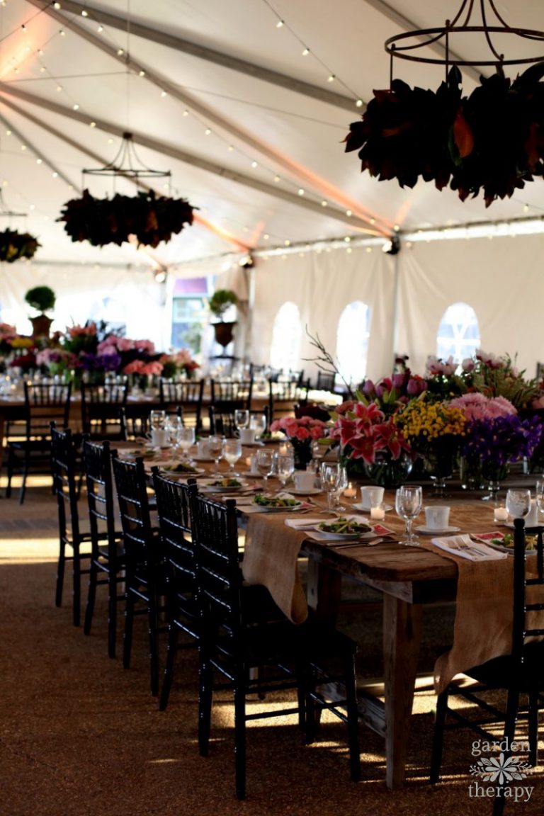 Moss Mountain Farm: Southern Hospitality, Rose Hoarding , and 2000 ...