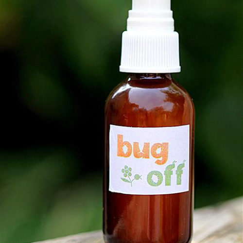 All-Natural Bug Spray Recipe
