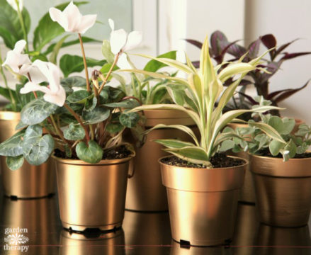My Gilty Pleasure: Gold Painted Flowerpots - Garden Therapy