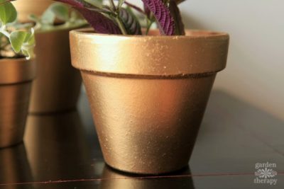 My Gilty Pleasure: Gold Painted Flowerpots - Garden Therapy