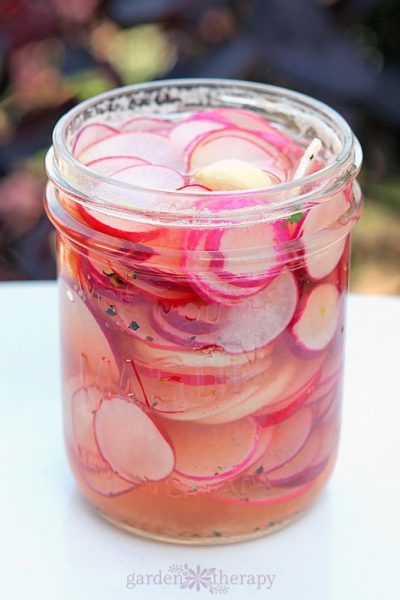 Canning Archives - Garden Therapy