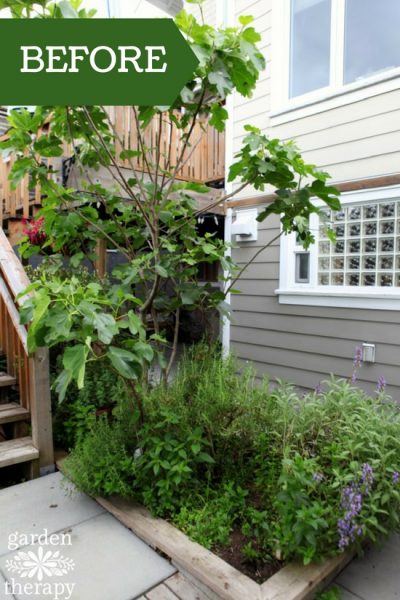A Culinary Kitchen Garden Perfect for Small Spaces - Garden Therapy
