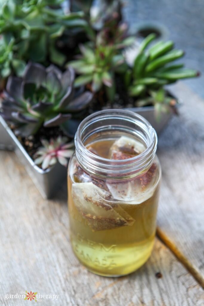 Make Sun Tea Two Ways and Enjoy Hundreds of Possibilities!