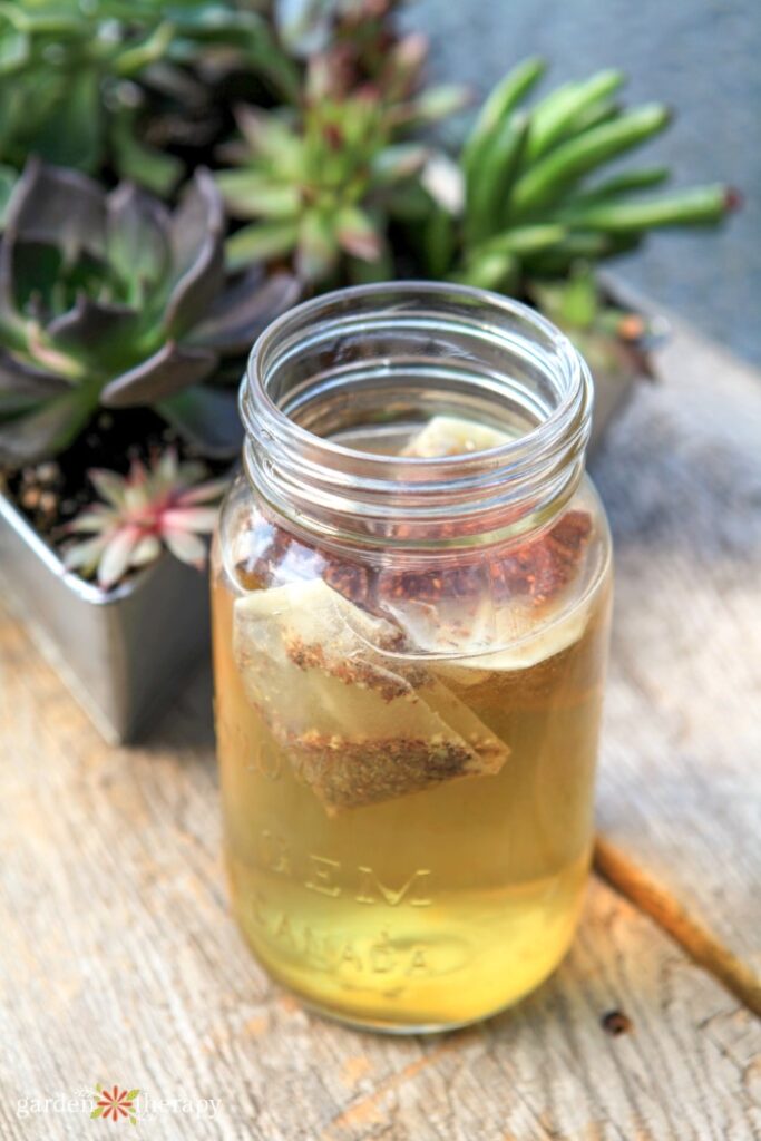 Make Sun Tea Two Ways and Enjoy Hundreds of Possibilities!