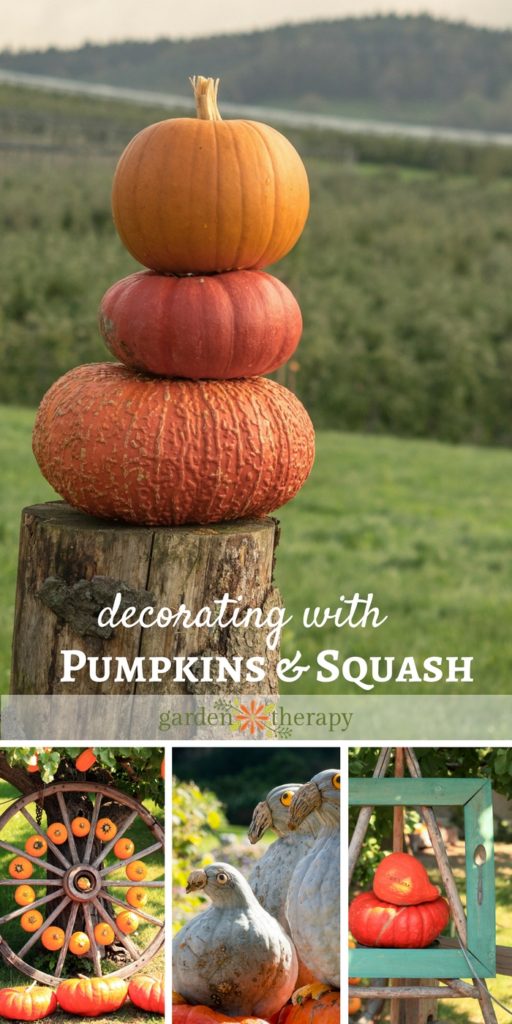 Quirky Outdoor Fall Decorating with Pumpkins and Squash - Garden Therapy