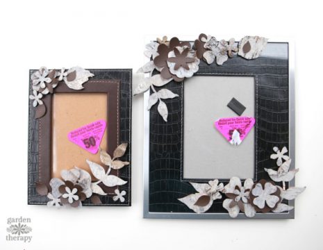 Three Creative Ways to Use This DIY Birch Bark Picture Frame - Garden ...