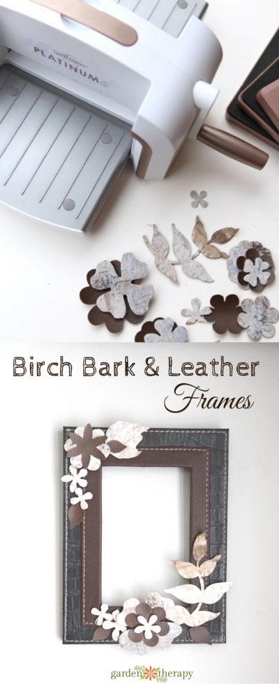 Three Creative Ways to Use This DIY Birch Bark Picture Frame - Garden ...