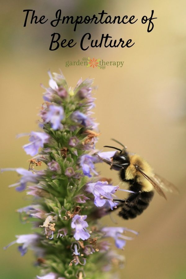 The Importance of Bee Culture: How We Can Teach the Next Generation ...