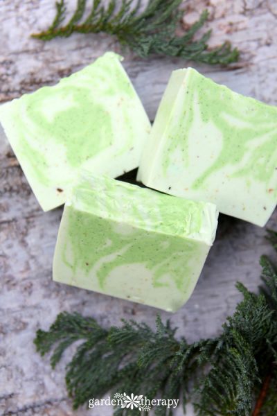 Woodsy Cedarwood Soap with Winter Essential Oils