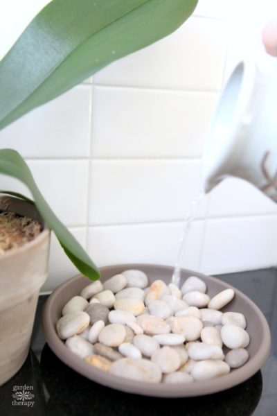 Home - Garden Therapy