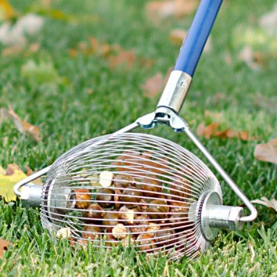 10 Genius Gardening Tools That Will Change the Way You Garden Forever ...