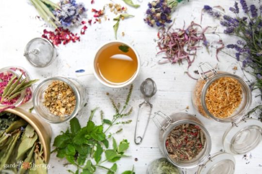 Harvesting Herbs, Healing, and How to Make the Perfect Cup of Herbal ...