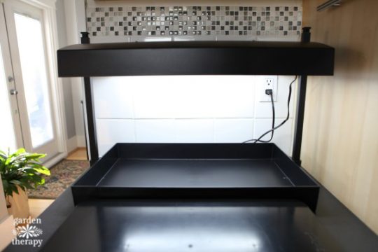 Countertop Gardening for Every Kitchen - Garden Therapy