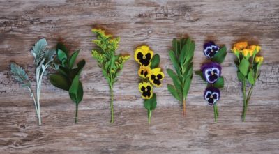 Creative Gift-Giving with DIY Pansy Crafts - Garden Therapy