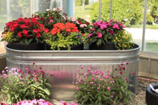 DIY Floating Planter for Water Gardens and Ponds - Garden Therapy