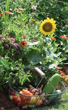 Edible Edges: Landscaping That's Good Enough to Eat! - Garden Therapy