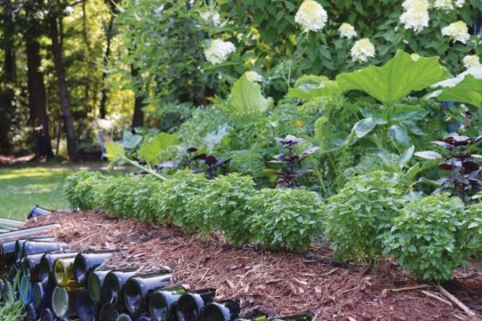 Edible Edges: Landscaping That's Good Enough to Eat! - Garden Therapy
