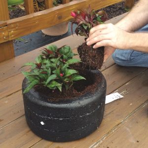 DIY Floating Planter for Water Gardens and Ponds - Garden Therapy