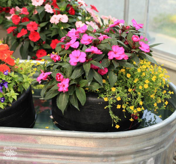 DIY Floating Planter for Water Gardens and Ponds - Garden Therapy