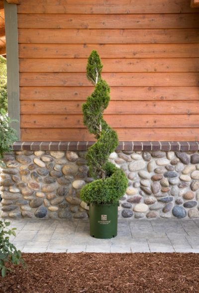 Care and Pruning for Decorative Topiaries - Garden Therapy