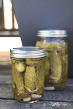 The Best Ever Deli-Style Sour Pickles Recipe. Ever. Seriously. - Garden ...
