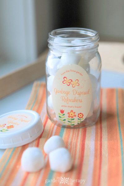 Cleaning Bombs Make Household Chores Easy - Garden Therapy