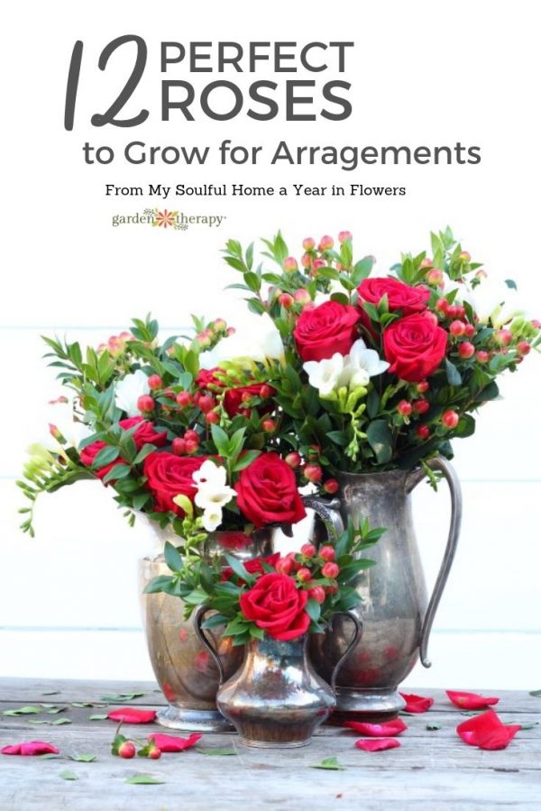 Grow these Cutting Roses for Perfect Floral Arrangements - Garden Therapy