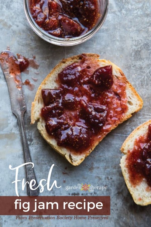 Fresh Fig Jam Recipe