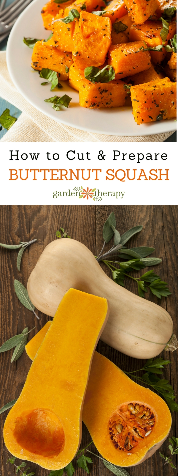 How to Prepare Butternut Squash for Recipes - Garden Therapy How to Prepare Butternut Squash for Recipes - Garden Therapy