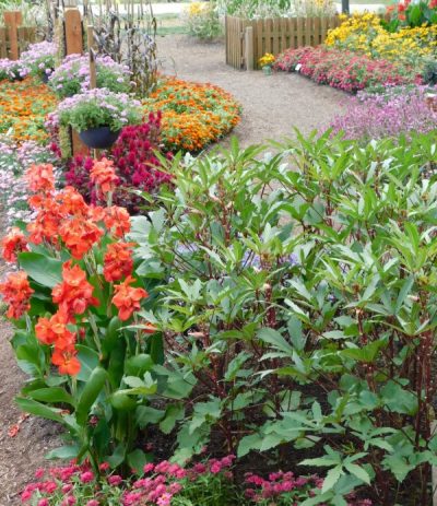 Gorgeous Gardens You Can Eat: Award-Winning Foodscaping Designs ...