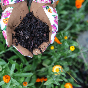 The Best Potting Soil for Plants: 6 Peat-Free DIY Soil Recipes - Garden ...