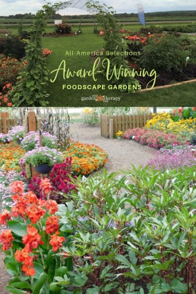 Gorgeous Gardens You Can Eat: Award-Winning Foodscaping Designs ...