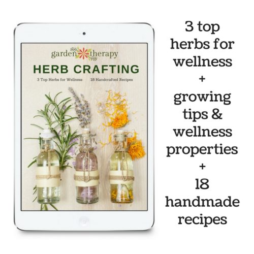 Thank you! We Just Sent You a Gift. - Garden Therapy