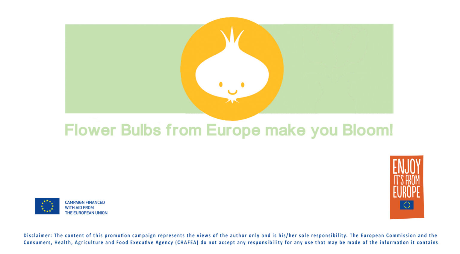 All About Alliums! Growing Ornamental and Edible Alliums - Garden Therapy