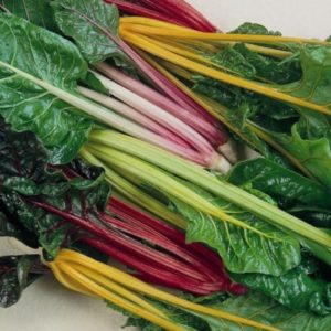 Growing Swiss Chard and How to Eat It - Garden Therapy