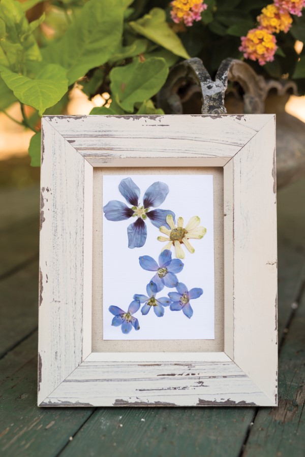 These Blooms Never Fade How To Frame Pressed Flowers Garden Therapy