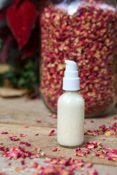 Fresh Rose Deep Hydration Face Cream Recipe - Garden Therapy
