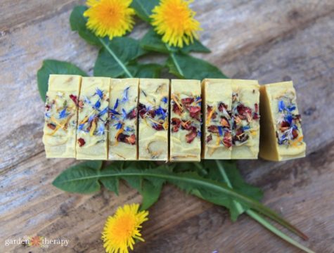 Wildflower Soap (Cold Process Recipe) - Garden Therapy