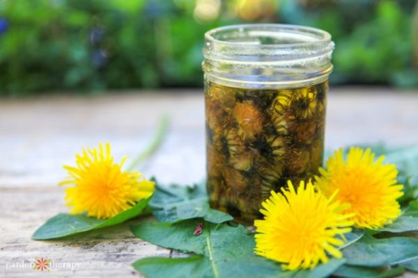Wildflower Soap (Cold Process Recipe) - Garden Therapy