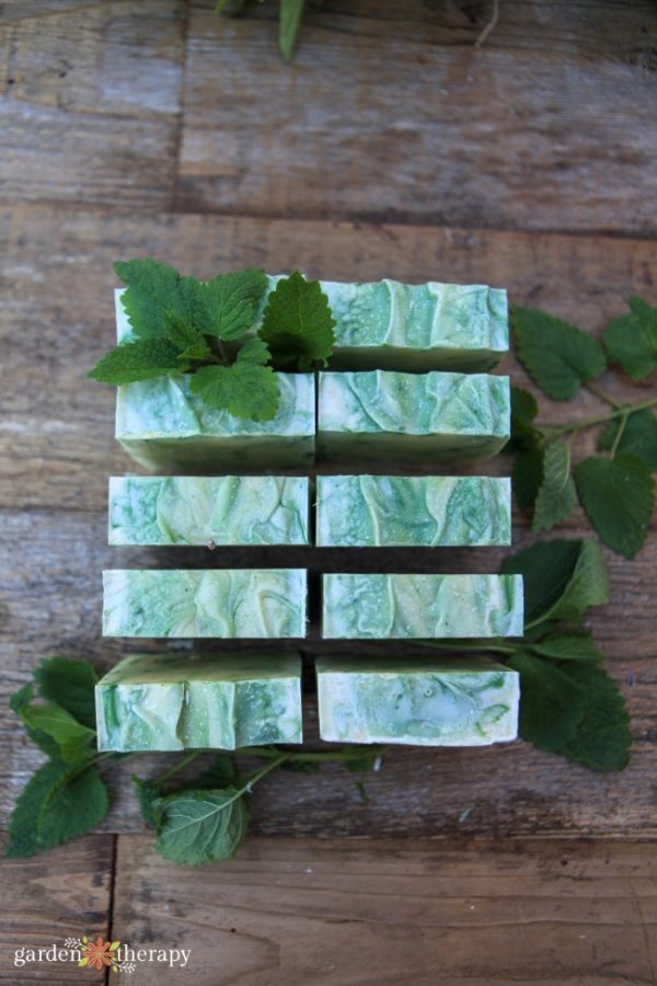Lovely Lemon Balm Soap (Cold Process Recipe) - Garden Therapy