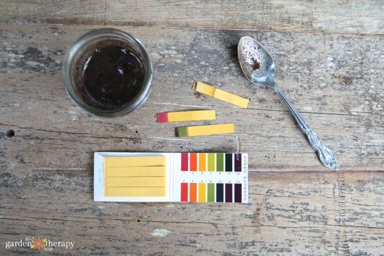 How to pH Soil Test at Home (No Special Equipment Needed!)